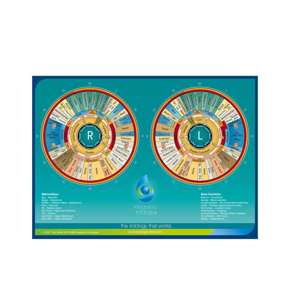 Integrated Iridology Desk Folding Chart Iris Chart – Cutprice Online